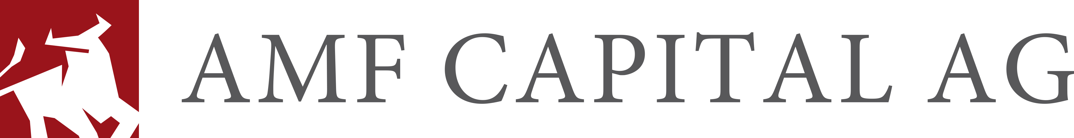 Startseite - AMF Capital AG | Asset Management Frankfurt